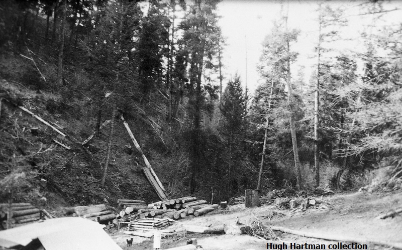 Gem County Historical Society/history/Reed Sawmill Logging Crew